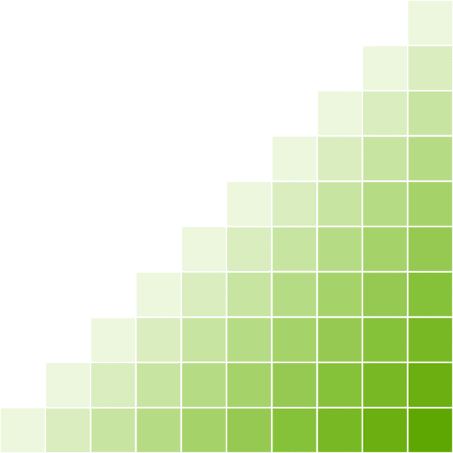 Dutch Speed Limits Practice | Urban, Rural, Motorway | Driving Theory Exam